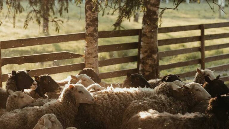 First 10 Days of Dhul Hijjah 2025: Significance + 10 Good Deeds to Do ...